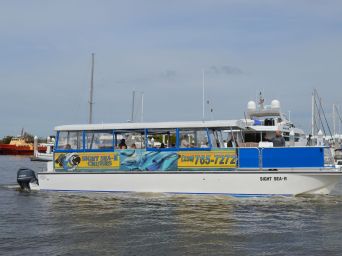 Photos | Sight Sea-R Cruises